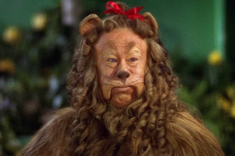 Fun Facts You Might Not Know About The Wizard of Oz | Editorial